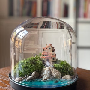 Island Oasis Terrarium With Live Plants - Etsy
