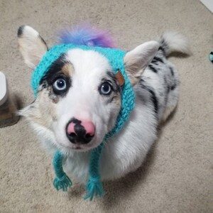 Corgi Beanie Dog Beanie Corgi Hats Dog Hat Dog Beanie | Etsy