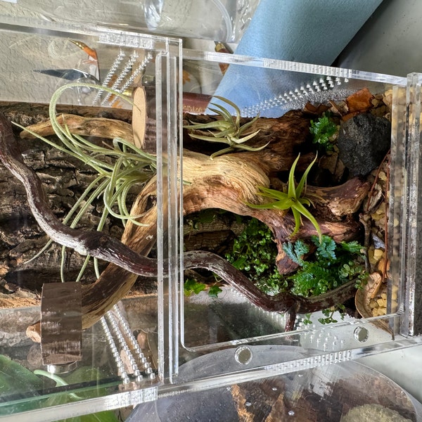 3D Printed Magnetic Spider Platforms Set of 3, Terrarium Platforms - Etsy