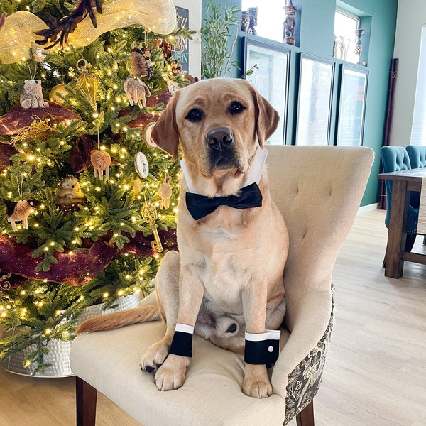 Dog Cuffs, Custom Dog Tuxedo Cuffs for Wedding, Dog Wedding Accessory ...