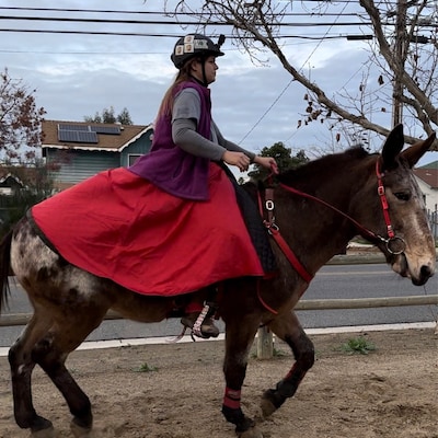 Mini Donkey Fly Mask - Etsy