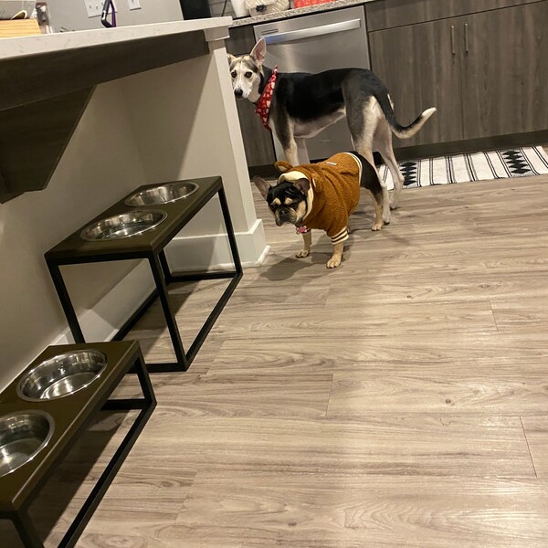 Elevated Dog Feeding Table for Large Size Dog / Raised Feeder for Big ...