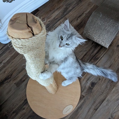 Natural, Handmade Custom Name Sisal Cat Scratching Post Condo With Fur ...