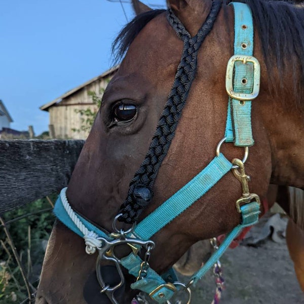 Braided Twist Hobbles and 3 Way Attachment Set - Etsy