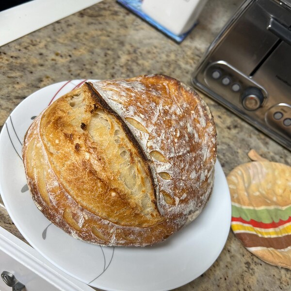 Fresh Sourdough Starter, Sourdough Bread, Bread Making Kit, Sourdough ...