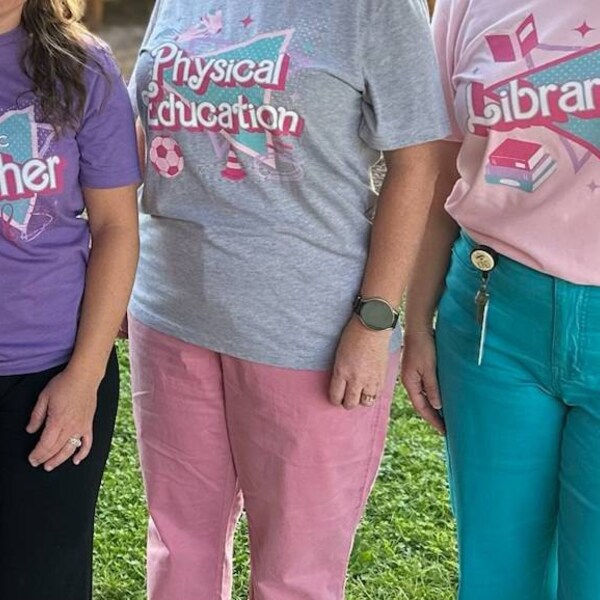 Cougar Spirit Shirt, Cougar School Mascot Shirt, Distressed Cougar Team ...