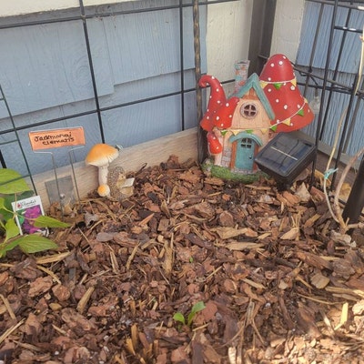 Colorful Linda Biggs balance 4 X 5 Circular Fairy Sticker, Yoga and ...