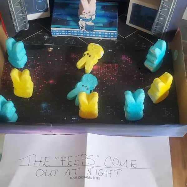 Shoebox Water Cycle Diagram Diorama, Create Your Own Papercraft Water ...