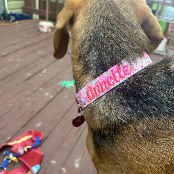 Blue Floral Dog Collar, Embroidered Dog Collar, Personalized Dog Collar ...