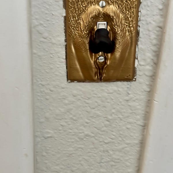 Clit Switch, Vagina Light Switch Cover, Vulva Art - Etsy
