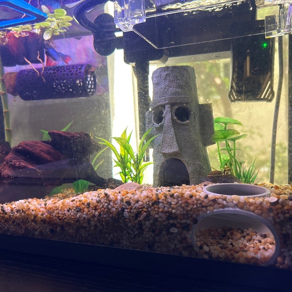 Bottom Dweller Aquarium Cave, Kuhli Loach Dojo Loach Corydoras Catfish ...
