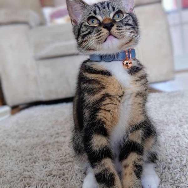 Breakaway Greensageforest Velvet Cat Collar Bowtie Leash Set ...