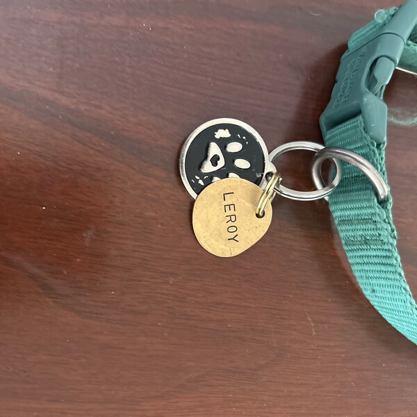 ROCCO: Hand Stamped Personalized Custom Pet ID Tags for Dogs and Cats ...