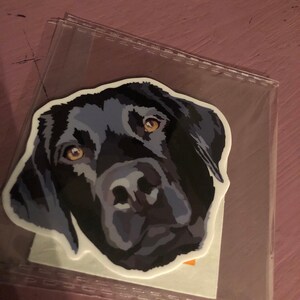 Pothos SVG File Digital Download for Cricut Silhouette Etc. | Etsy