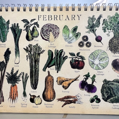 Bee Print, Bee Poster, Bee Chart, Anatomy, Nature, for Kitchen, Unique ...