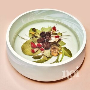 Large Natural Dried Lotus Pod Stems Dry Lotus Pod Seeds Brown Flower ...