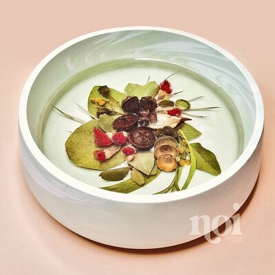 Large Natural Dried Lotus Pod Stems Dry Lotus Pod Seeds Brown Flower ...