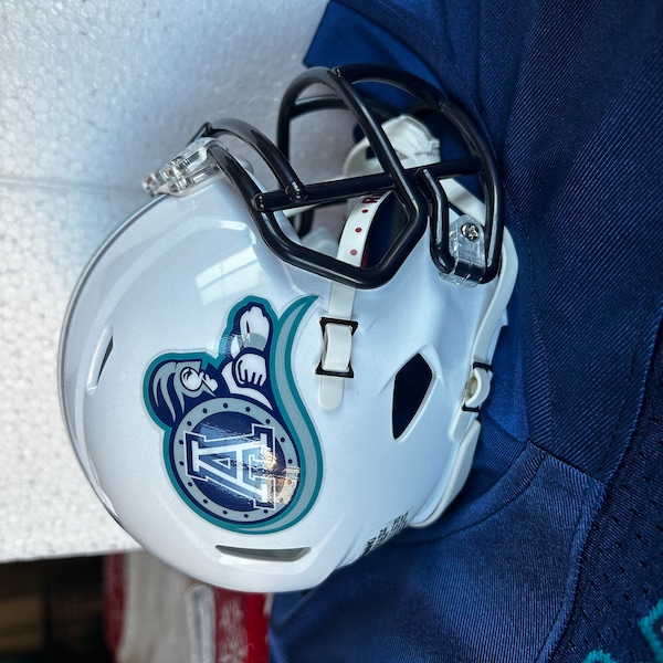 Custom Riddell Mini Helmets - Etsy