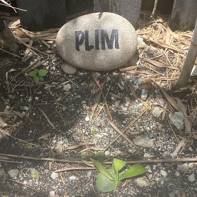 GodRocksCollection - Etsy