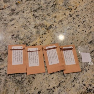 Sunflower Grow Kit Pollinator Kit Save the Bees Corporate Gifts Earth ...