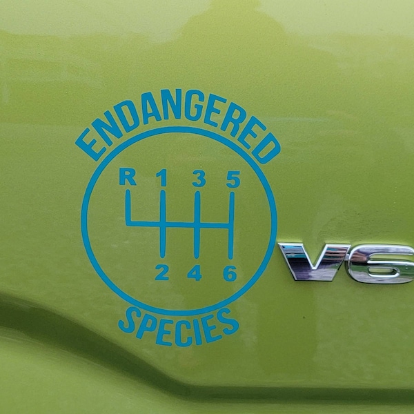 6 Speed Gear - Endangered Species - Stick Shift - Manual Car - Car ...