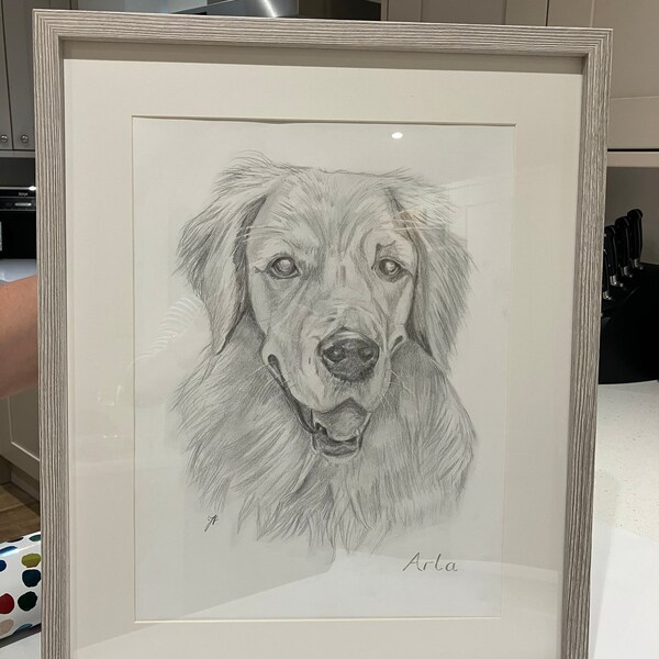 Custom Dog Drawing From Your Photo, Custom Dog Sketch From Your Photo ...
