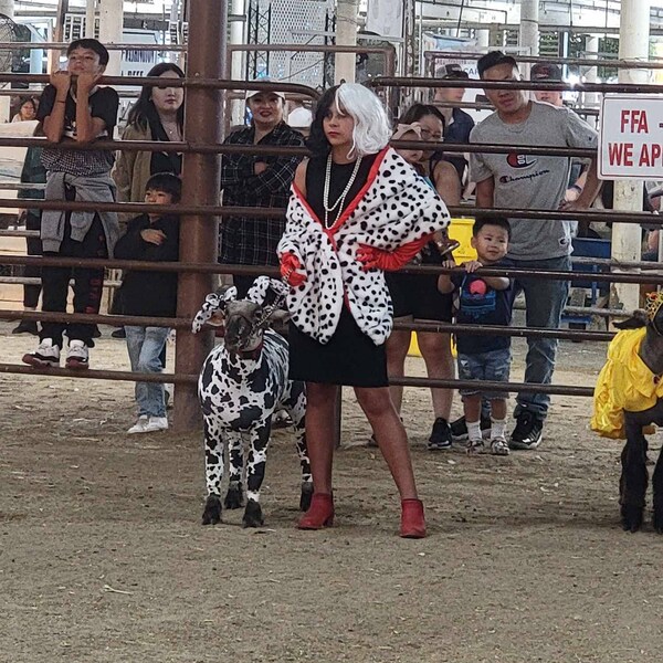 Aztec Western Lamb Leg Tubes - Etsy