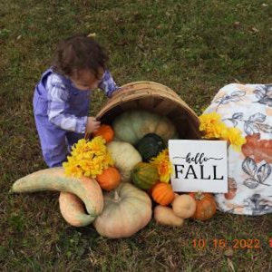 Pit Bull USA Flag Glasses Paw United States Flag America - Etsy