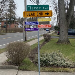 Cuckoo Cuckoo Gift Cuckoo Sign Cuckoo Decor Cuckoo Expert - Etsy