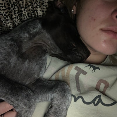 German Shorthaired Pointer Gifts, GSP Shirt, Pointer Mama Shirt, GSP ...