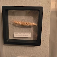 Rat Christ Ooak Cursed Crucifix Sculpture - Etsy Canada