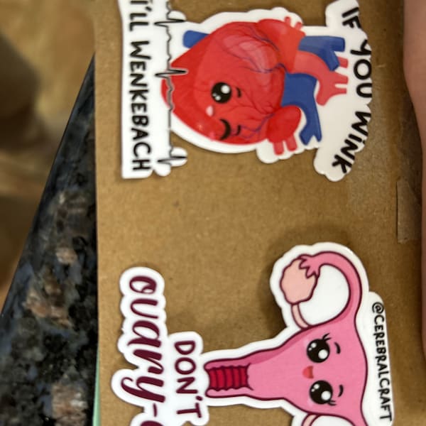 I Love Fall prevention Sticker, Funny Physical Therapy Sticker, Gait ...