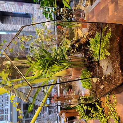 Waterproof 18 Inches Geometric Terrarium Galaxius Stunning Parametric ...