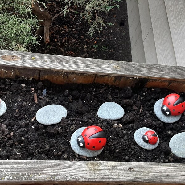 3 Lbs. 2"-3" Bulk Colorful Wedding Stones - Blessing Stones - River ...