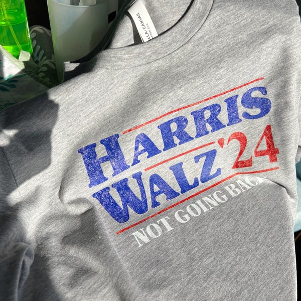 Anti-trump Shirt, 2024 Election Tee, Pro America Anti Trump, Democrat ...