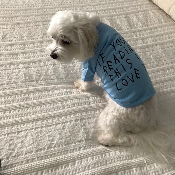 Dog T-shirt || Small Dog Clothes || Spring and Summer Dog Clothes ...