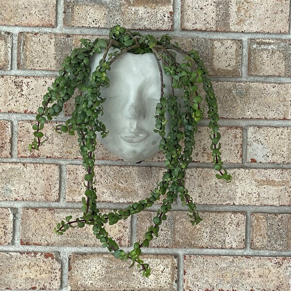 Face Concrete Wall Planter - Etsy