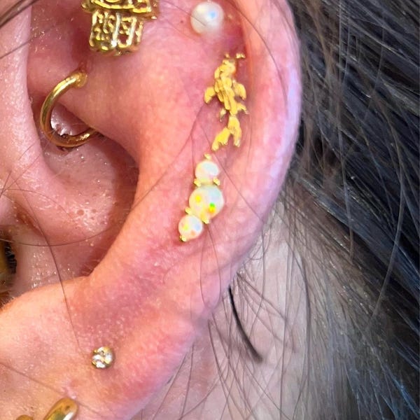 Snake Cartilage Gold Conch Serpent Earring• Snake Ear Climber Earrings ...