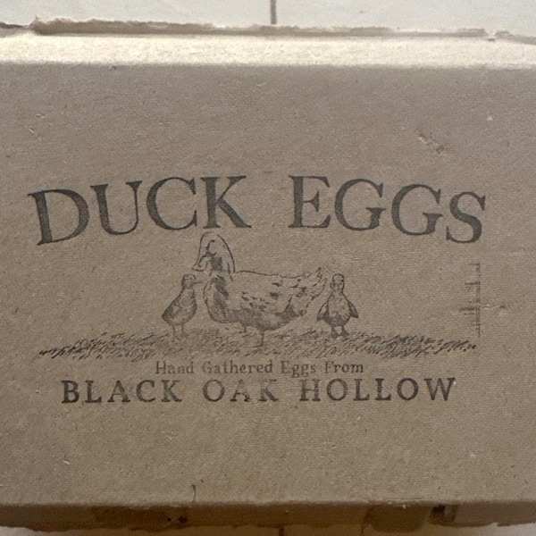 Vintage Square Egg Carton Rubber Stamp 4x6 Inch Happy Broody Nesting ...