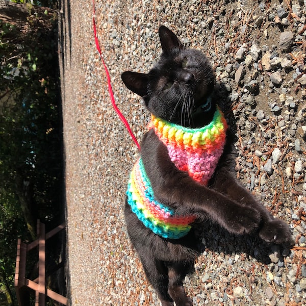 Cat Sweater Crochet Pattern, Cat Clothes Pattern, Crochet Pattern, Pet ...