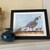 CALIFORNIA QUAIL Archival Ink Print of Original Painting - Etsy