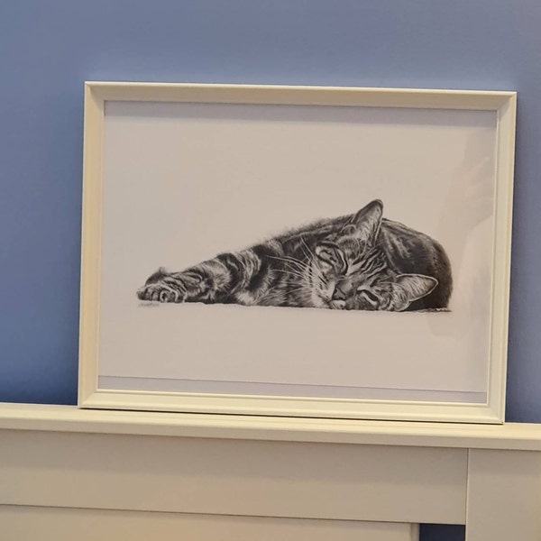 Tabby Cat Print, Tabby Cat Wall Art, Cat Drawing, Fine Art, Gift for ...