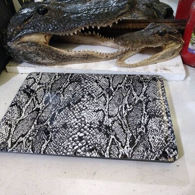 Gray Snake Any Laptop Skins / Pattern Stickers Notebook Vinyl Decal ...