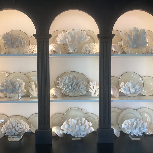 Dimensional Cowrie Seashell Minimalist Wall Art Abstract Framed 32"x 10 ...