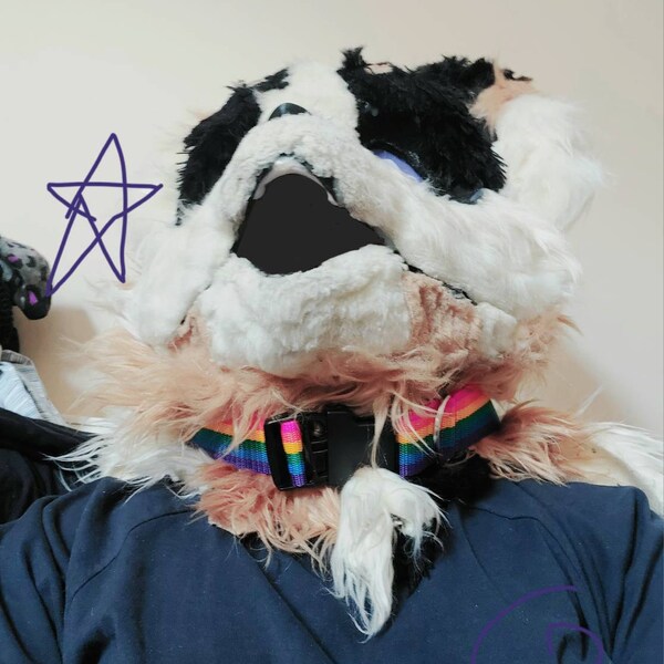 Pride Flags Fursuit Collar - Etsy