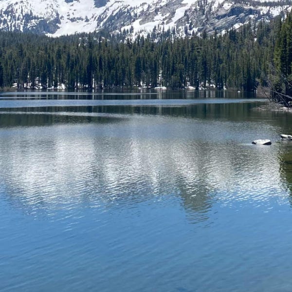 Houndstooth Distorted Plaid Patterns Nail Art Stamping Template Plates ...