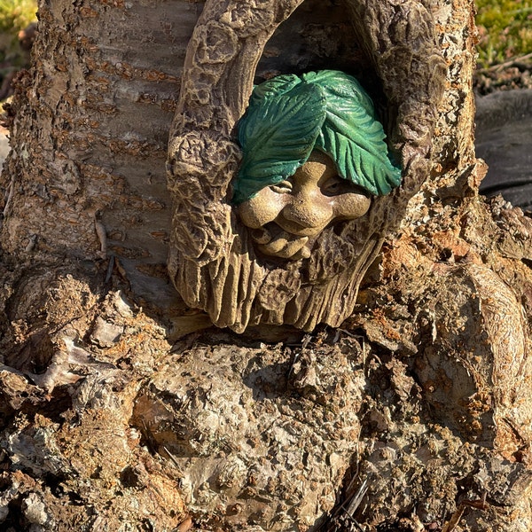 Elf in Tree Hole - Etsy