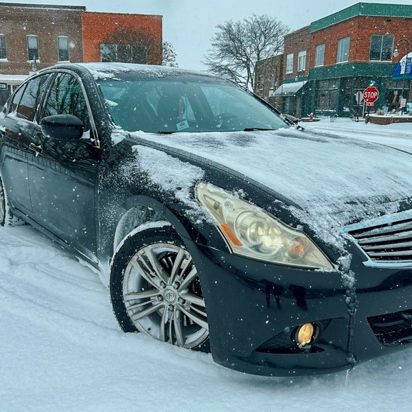 ATF Decal Atf Sticker Atf Dog Funny Sticker Gun Sticker Aft Arm Brace ...