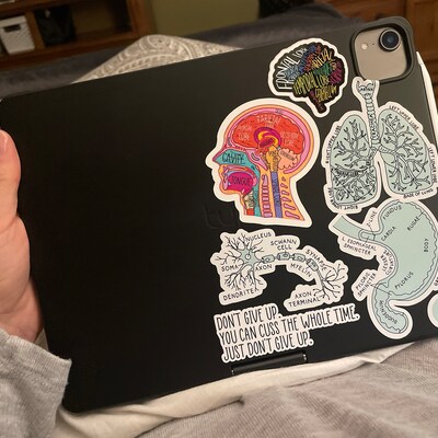 Heart Anatomy / Anatomical Science Sticker/ Medical Nursing - Etsy