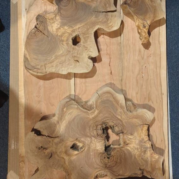 Olive Wood Slab for Epoxy, Live Edge Wood for DIY, Raw Edge Olive Tree ...